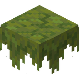 Biomes | RealismCraft