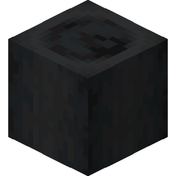 Wither Bone Block | RealismCraft